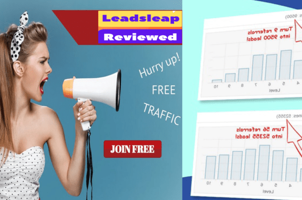 Comprehensive Guide to Using LeadsLeap | Lern CLICKS